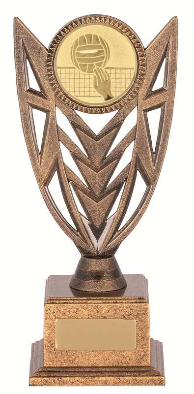 VOLLEYBALL TROPHY - Ted's Trophies & Trinkets